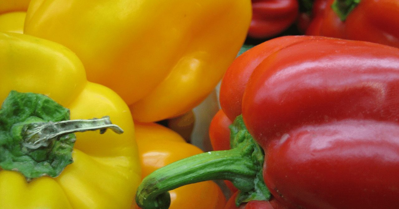 意識高い女子がしてるやつ｜hitomi_upgrade