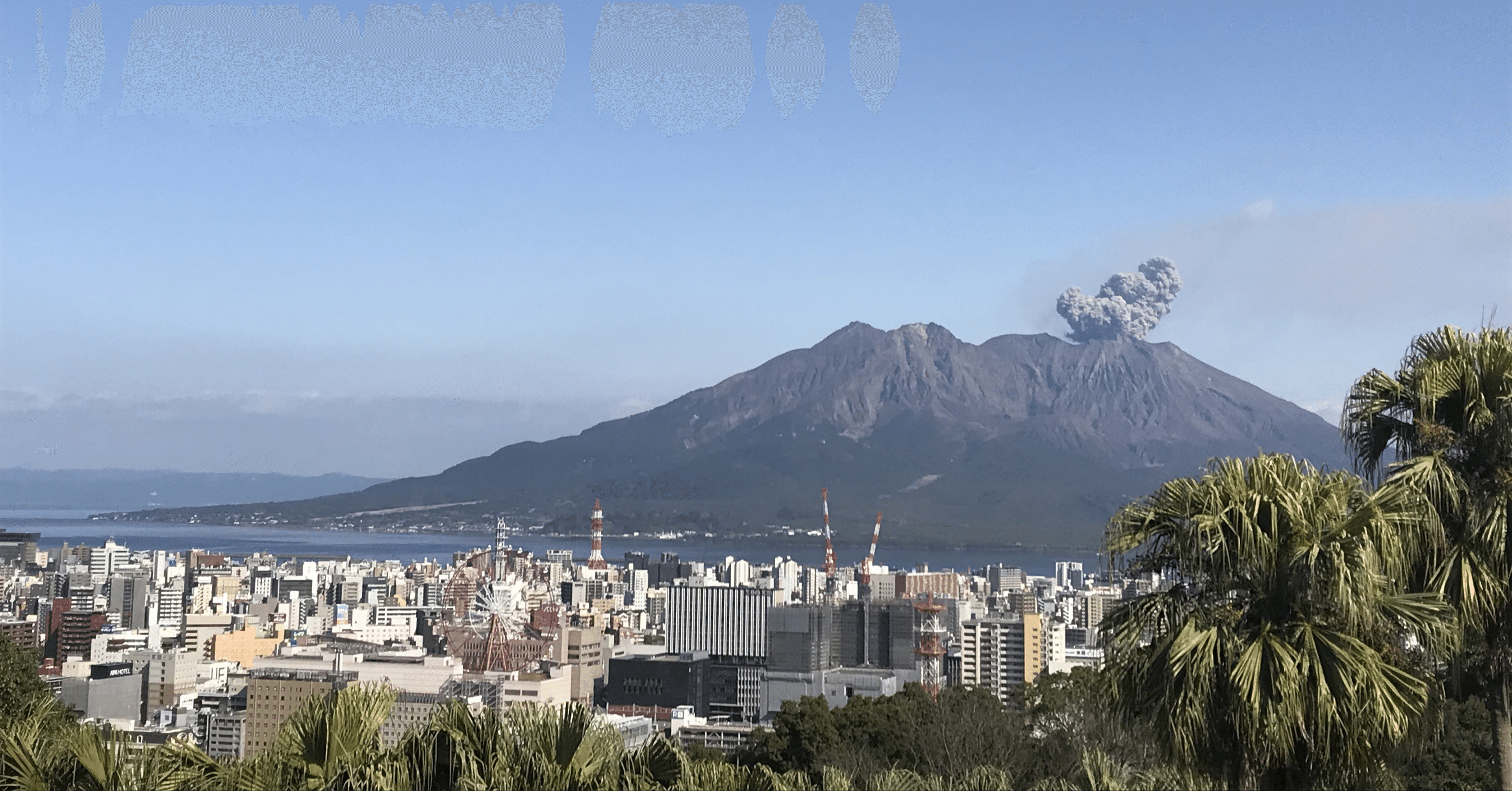 自己紹介|ポートフォリオ - ポートフォリオ｜谷口由佳|Taniguchi Yuka｜note