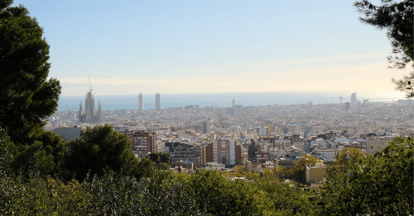 山本万優 / Mayu Yamamoto｜note