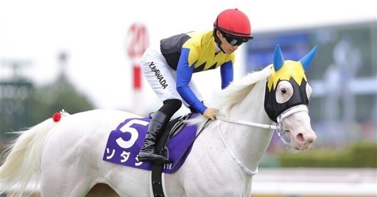 213 姫路競馬 全レース予想🔥🔥｜ブロードアピール