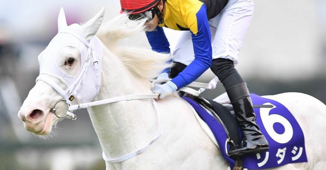 213 名古屋競馬 全レース予想🔥🔥｜ブロードアピール