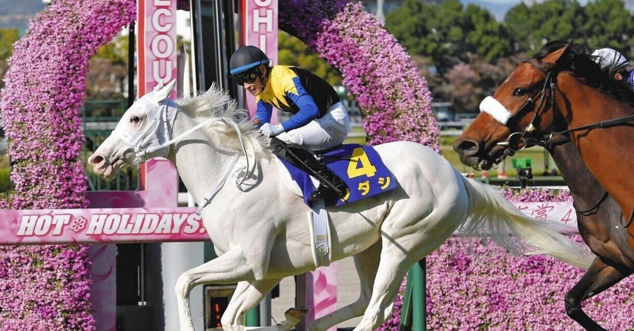 213 船橋競馬 全レース予想🔥🔥｜ブロードアピール