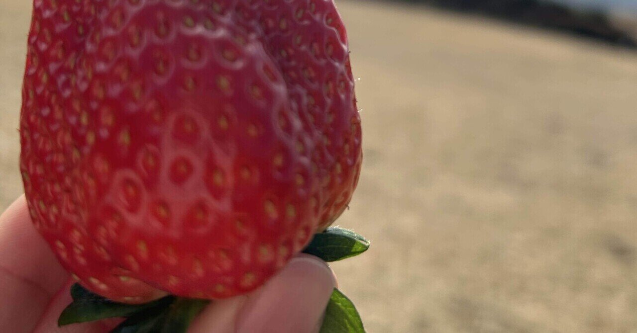 はじめまして｜HYAKUE