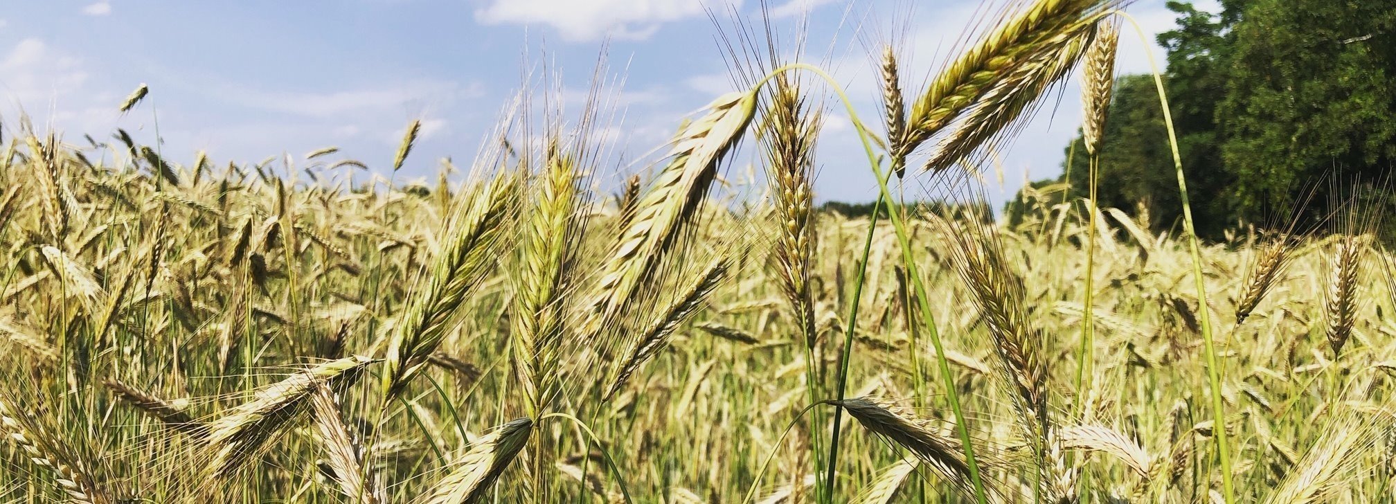 伊藤 英拓（Hidehiro Ito）｜note