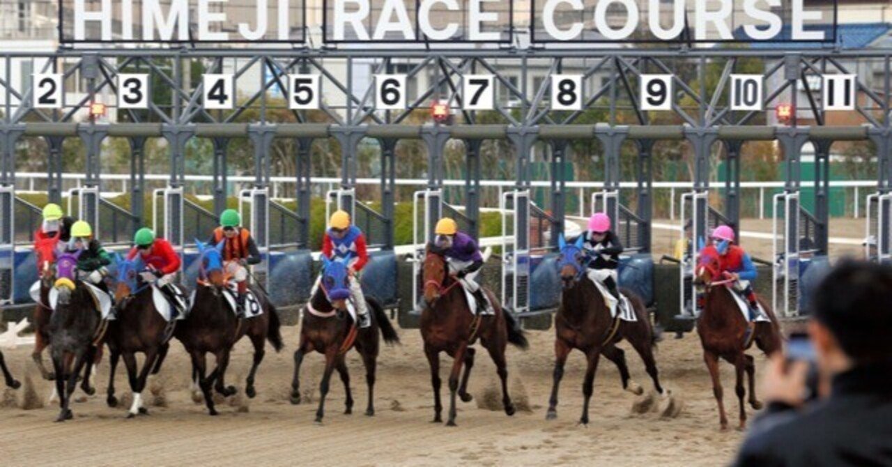 姫路競馬【🔥👊🏇激熱ss勝負レース🏇👊】【11r】白鷺賞（発走時刻1605）｜さやだま