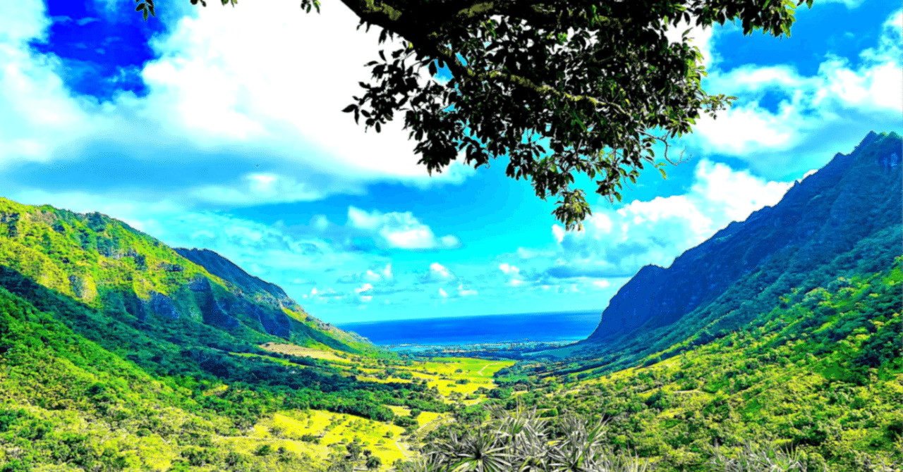 新しいサイトが出来ますよ！｜aslia