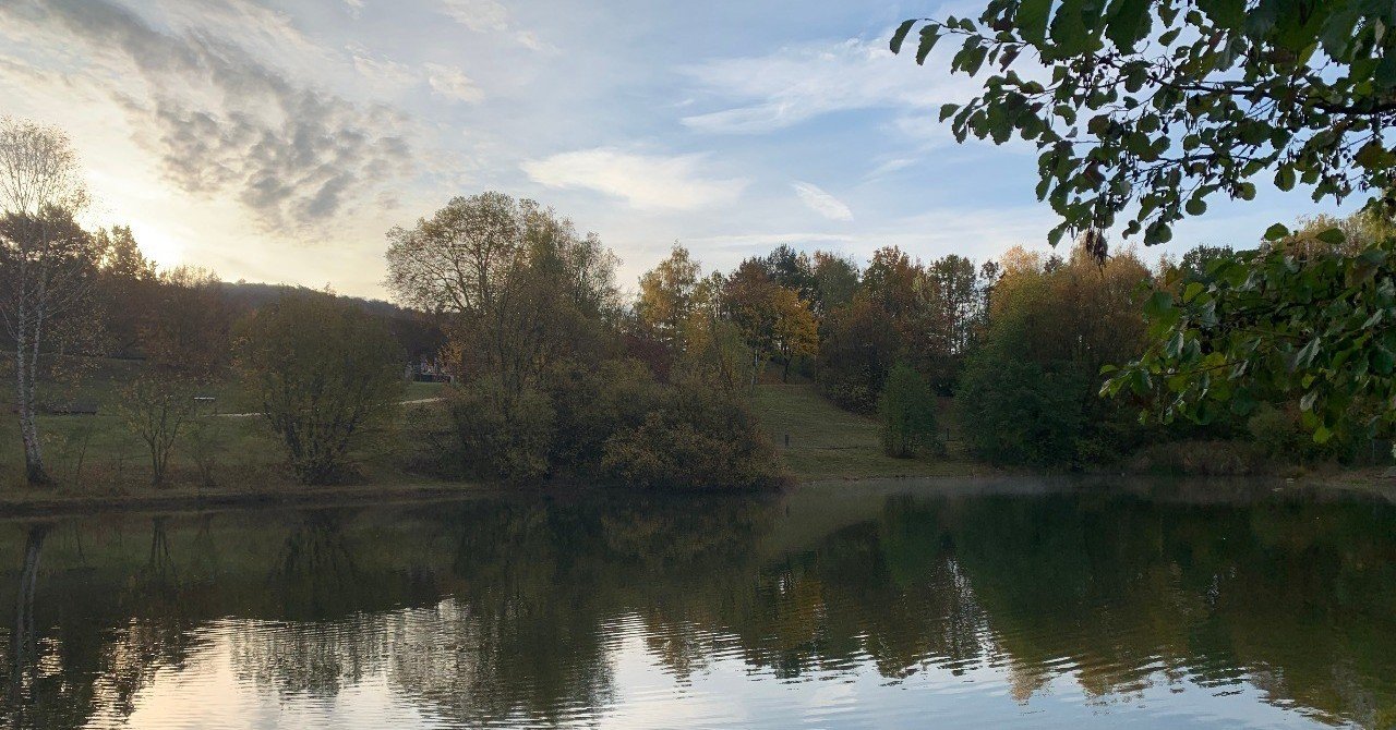 2019年振り返り｜umbell