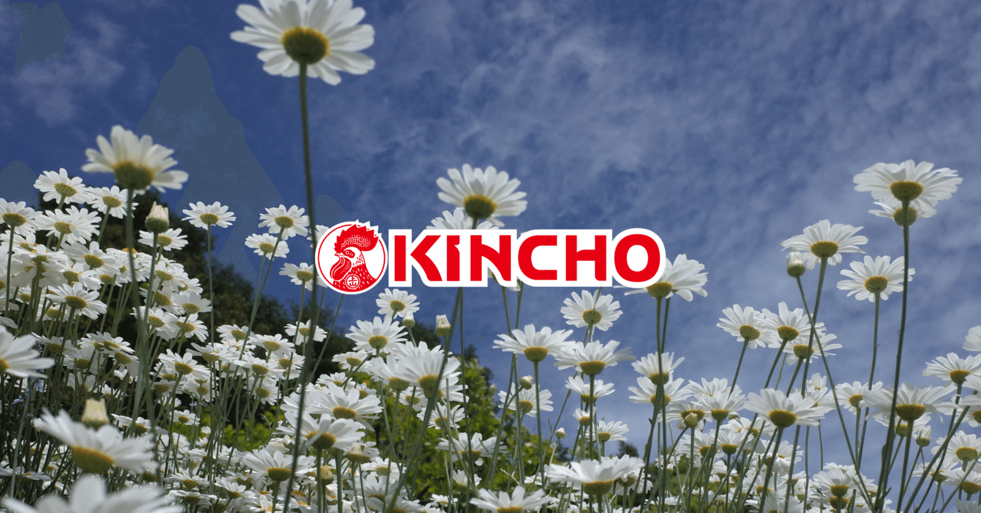 KINCHO 大日本除虫菊株式会社｜note