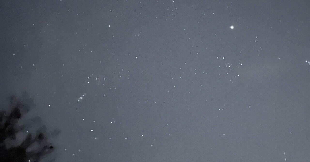 Reason 2 live｜西浦優