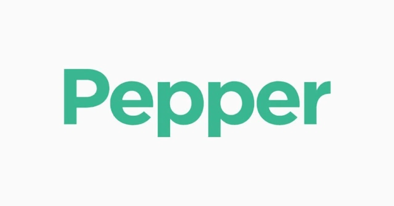 スタートアップの資金の使い道を可視化するPepperがシードで560万ドルの資金調達を実施｜STARTUP LOG｜スタートアップの挑戦を ...