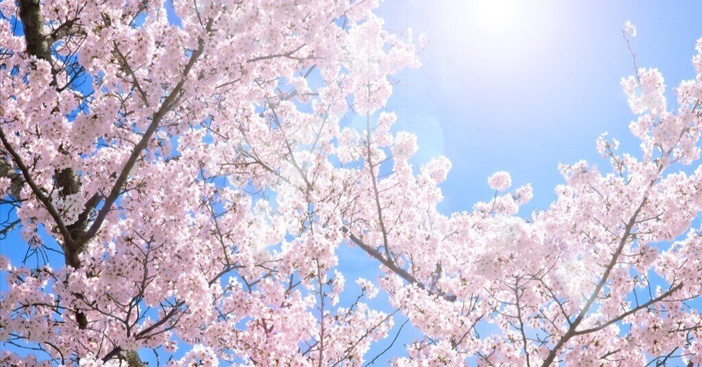 miwa🇺🇸アメリカ駐妻1年目｜note