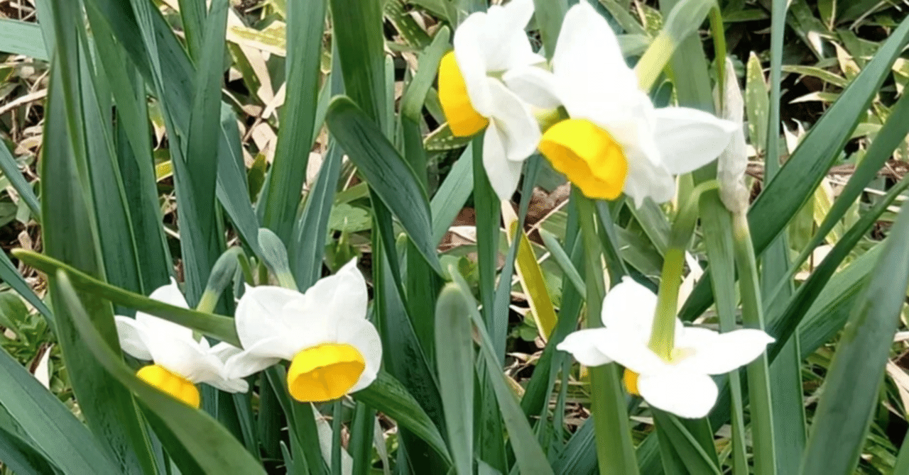 anconda 技術動向｜blue06_2022