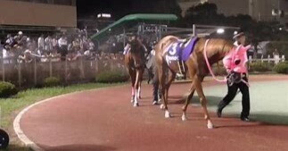 船橋競馬【🔥👊🏇激熱穴馬勝負レース🏇👊】【9r】松戸スプリント(発走時刻1900)|さやだま