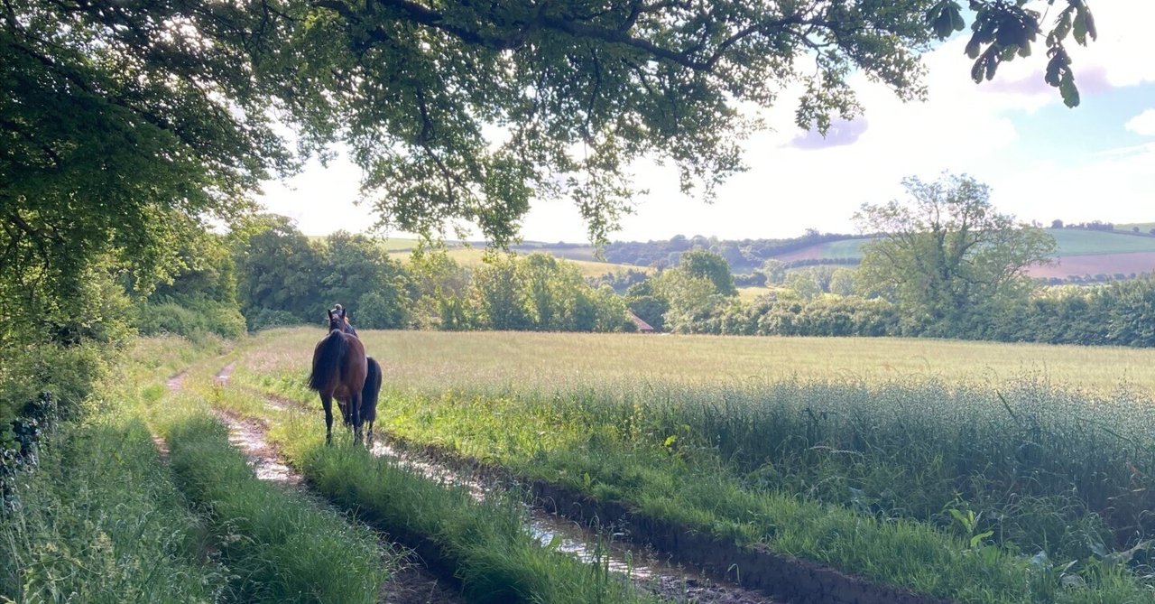 海外冒険記#7 まるでおとぎの国 はじめてのWorkaway🇬🇧｜RISAKO_solotravel