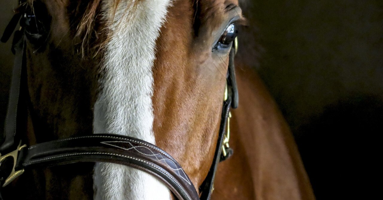 土曜メインレース（500円）・2月15日（土）の【最強競馬予想】（クイーンカップ、洛陽sの2鞍）｜大谷内泰久の最強競馬予想＆重賞完全攻略
