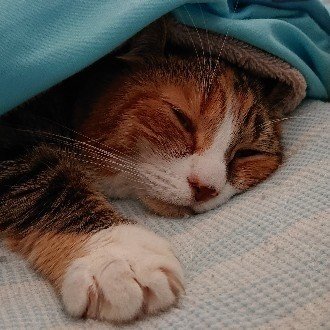 その女、源麗子⑦｜naoki hayashida｜note