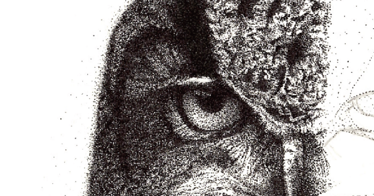 絵本『夜の森』｜yuki takeuchi