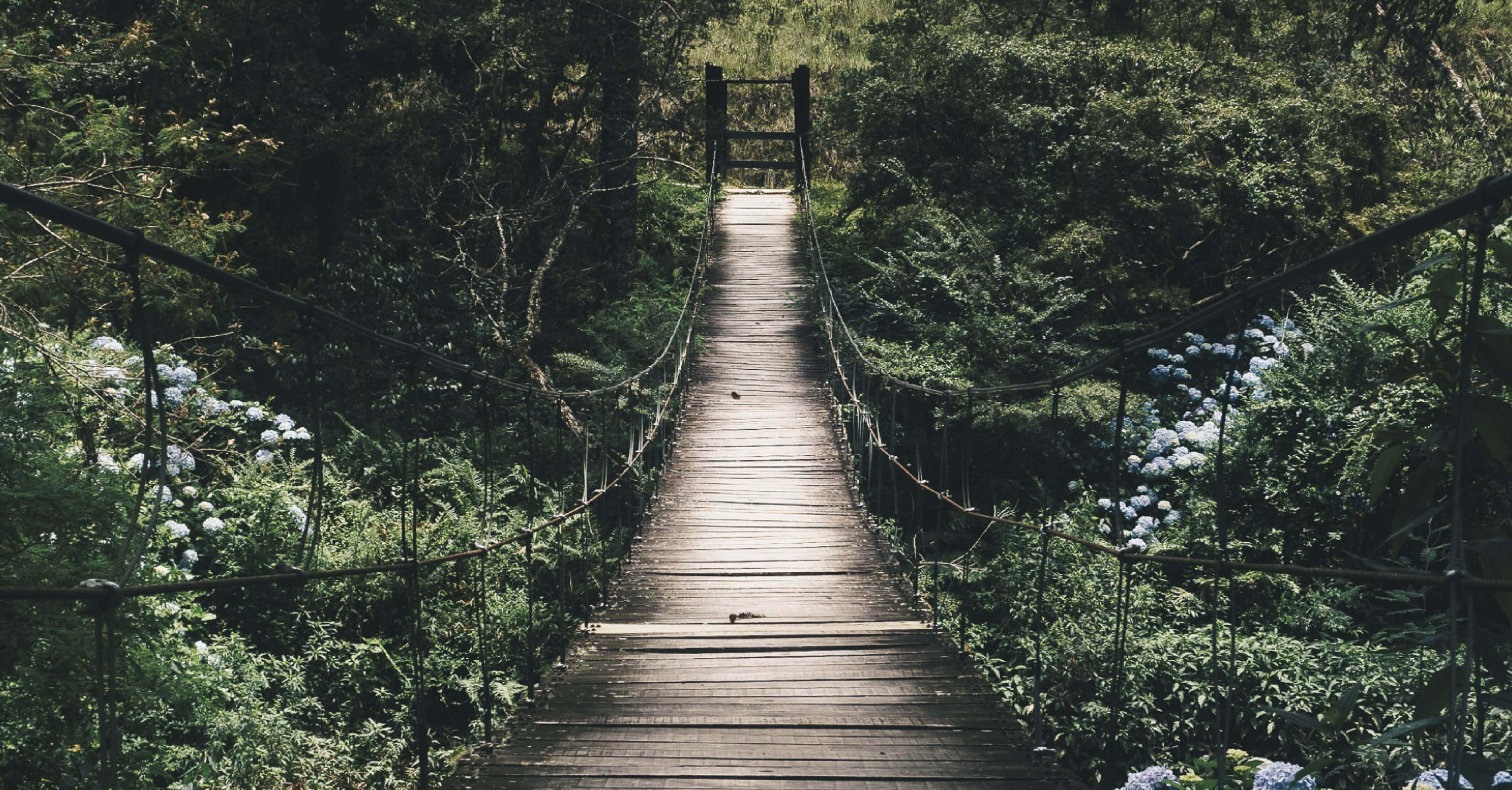 好きなことがわからない｜Hiroko Aoki｜note