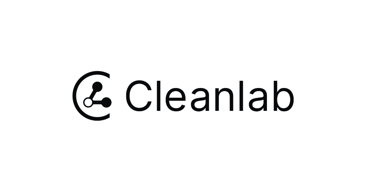 AI時代におけるデータの品質向上を自動で支援する「Cleanlab」｜AI50 #10｜三好 翔｜Kakeru Miyoshi