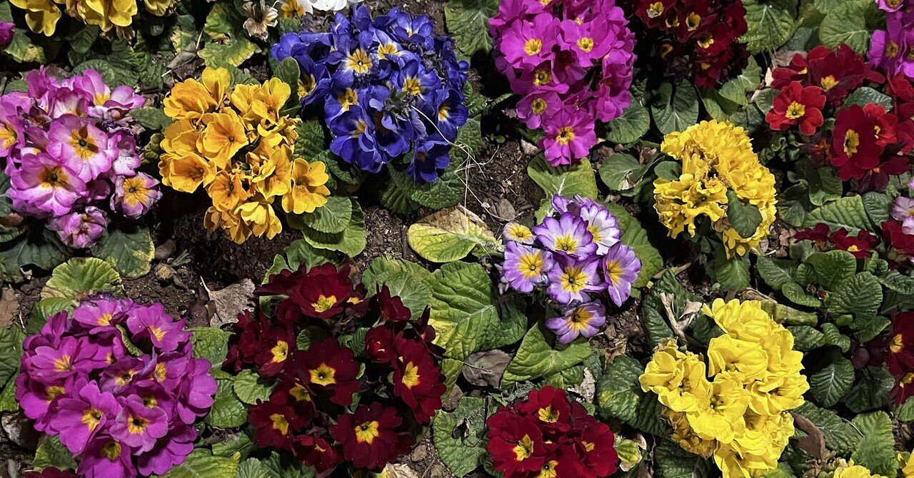 東京出張｜prankish/Tomo