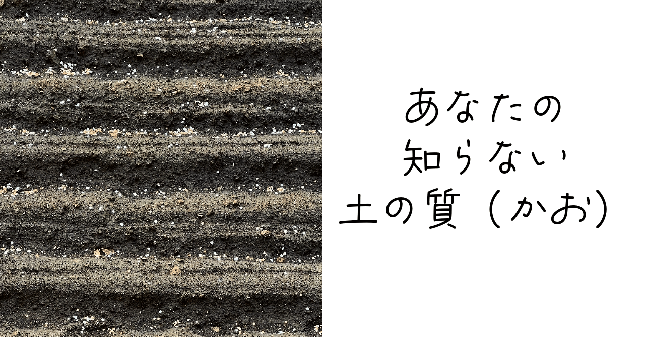意外とやっかい、「土」のクセ｜Ms'HIRO