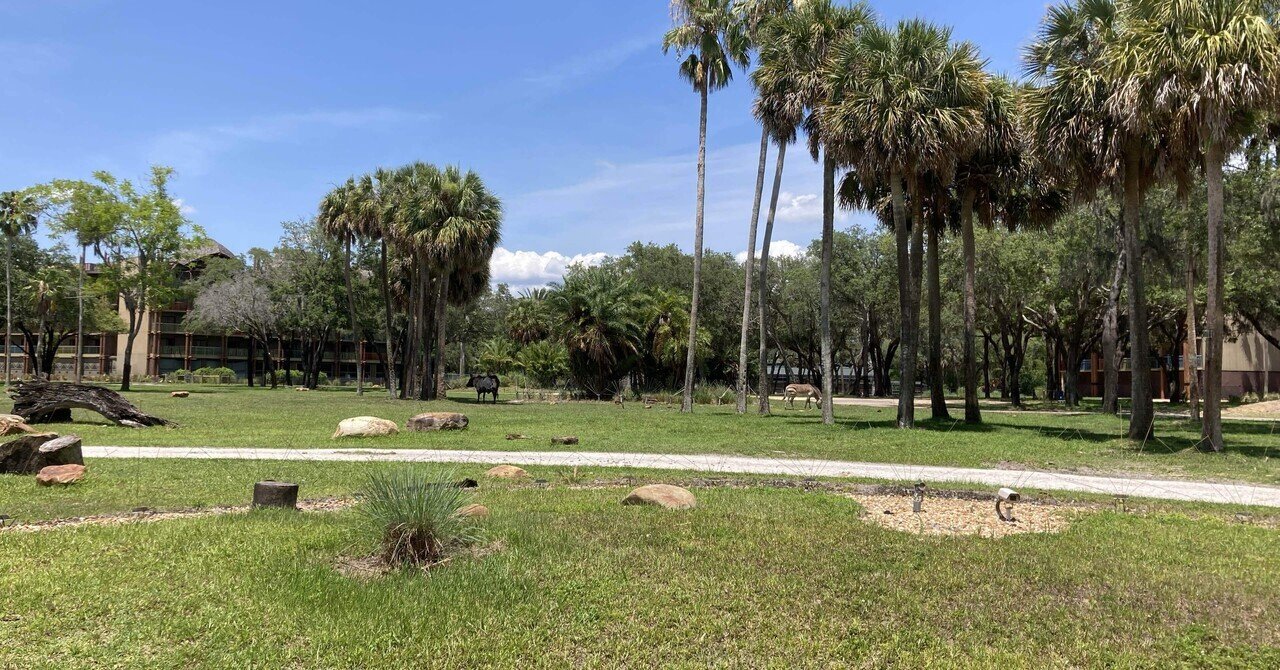 再び実験ばかりの日曜日｜とあるポスドクKeito