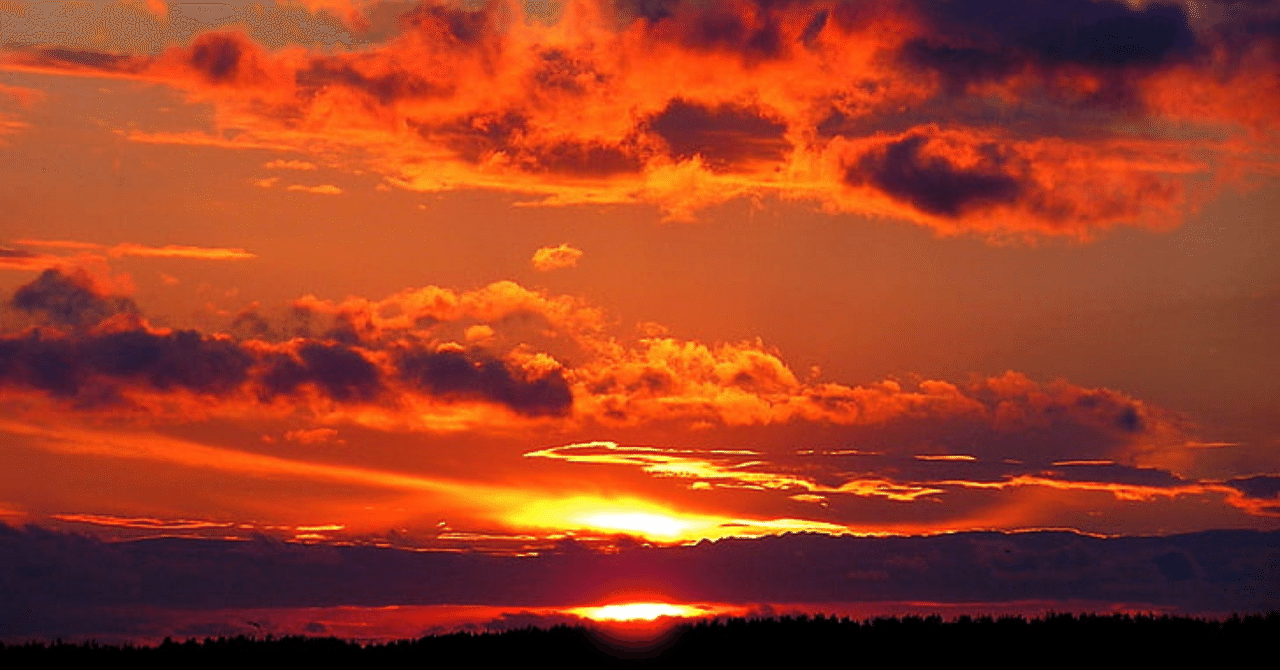 ＃50理学療法士の中国リハビリ記録【康复の道——僕が中国で出会った人々】｜JUNYA MORI