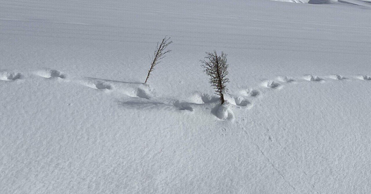 支配vs依存のからくり⁈｜みっちー🌈Michiko Tsukuda