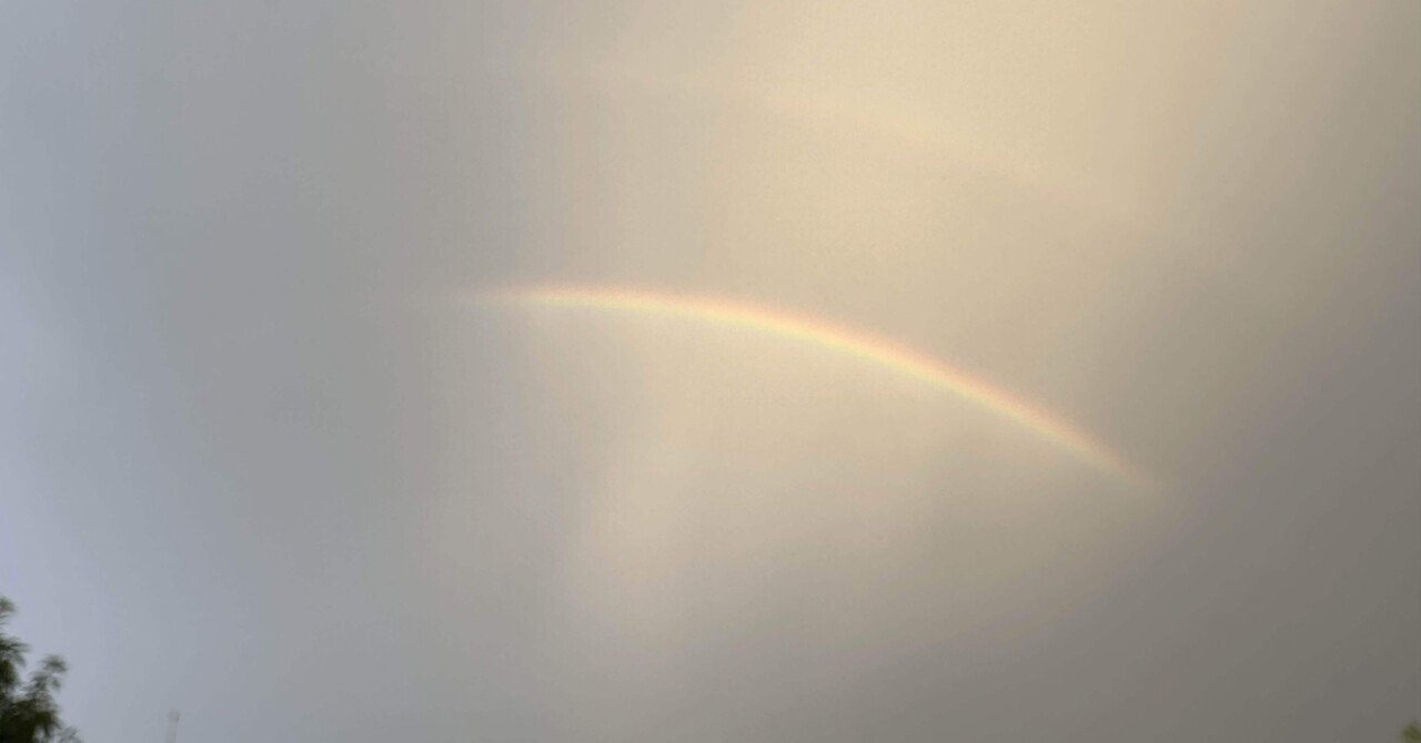 Paul Simon コンサート復帰！｜KK55