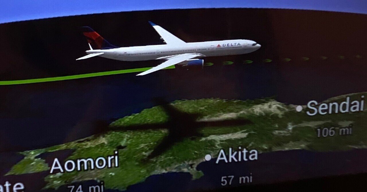 Delta デルタ航空｜河馬犀cabbage