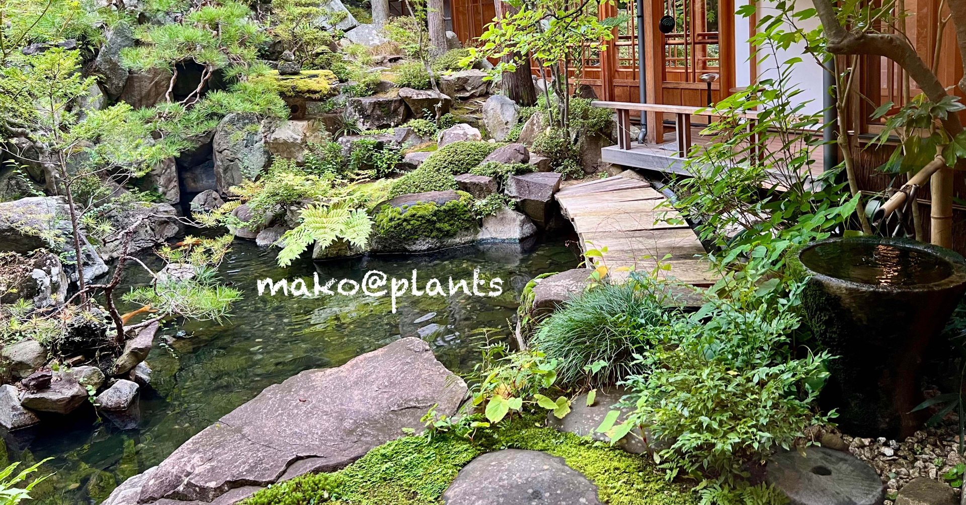 mako＠plants｜note