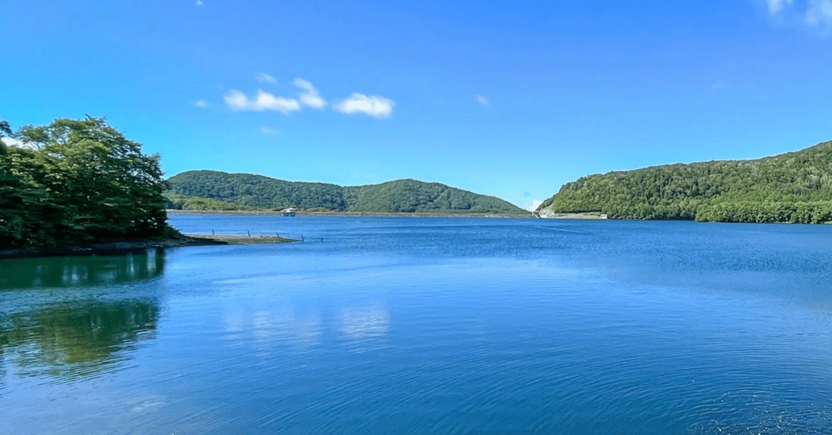 藤井風 《歌詞意訳》 真っ白 CM version｜kaori．