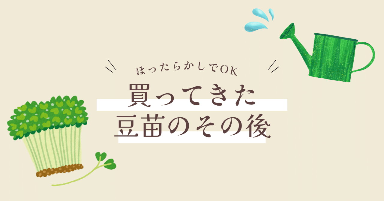 豆苗は2回目の方が美味しい｜ふくふく