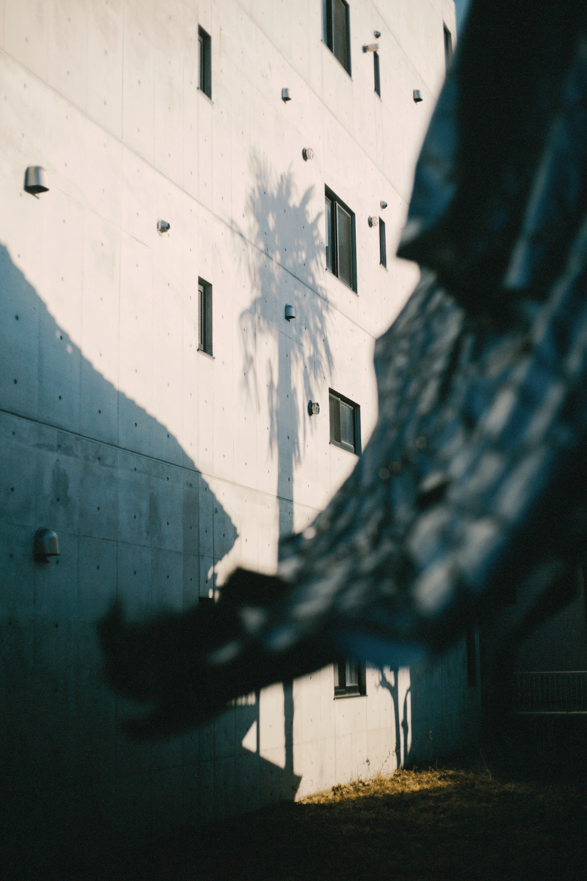 最近撮った写真たち/ Canon 5D markⅡ｜bug(バグ)