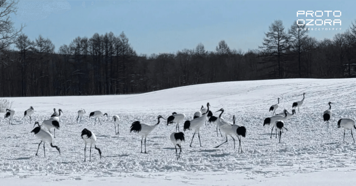 PROTO OZORA 2024 第二弾 #12 もちきびおしるこ販売に向けて｜PROTO OZORA