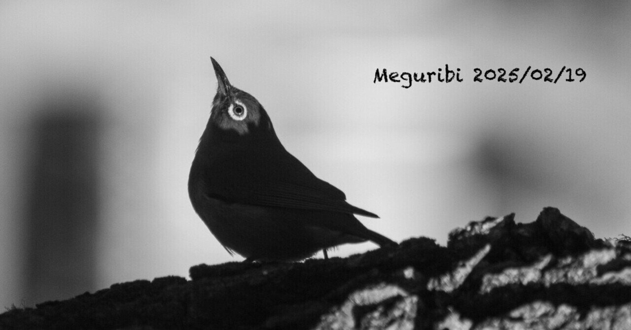 【写真】空にゆだねる：巡り日2025/02/19｜Jun Sugihara