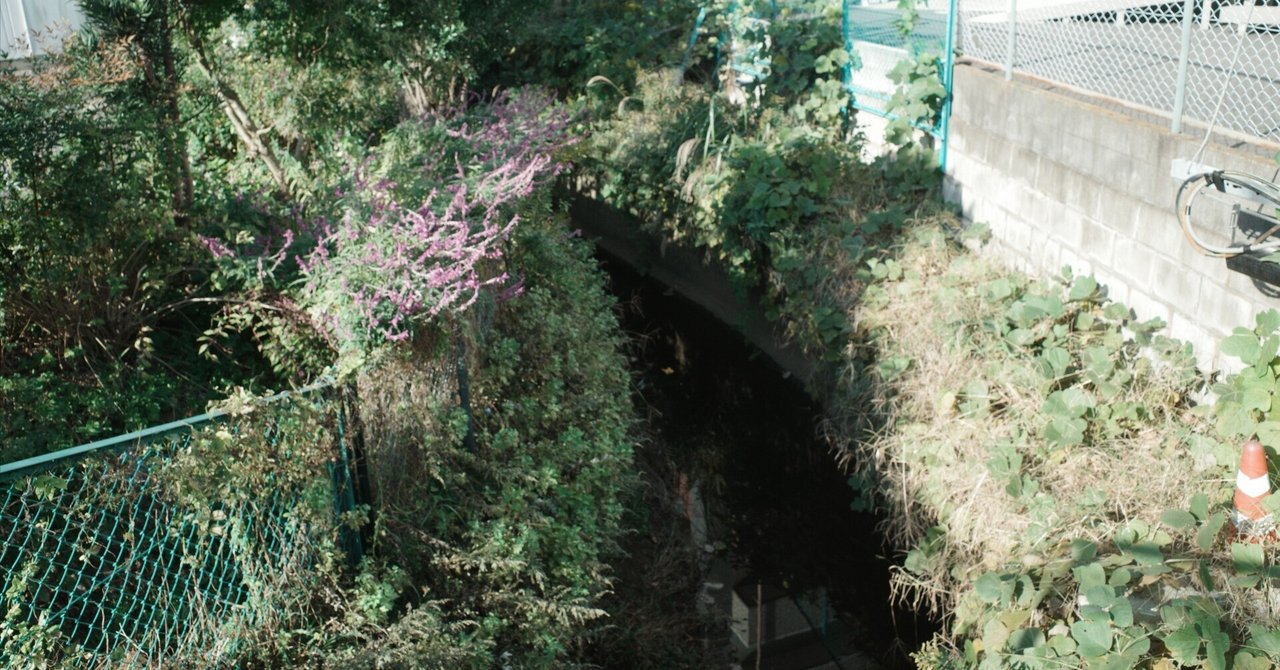 西の魔女が死んだ｜Haruna Sano 佐野陽菜