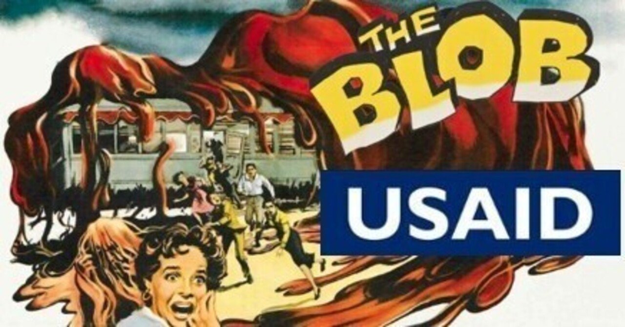 11．USAID （国際開発局は”人食いアメーバ その1”）-The Blob-1｜モモのパパ