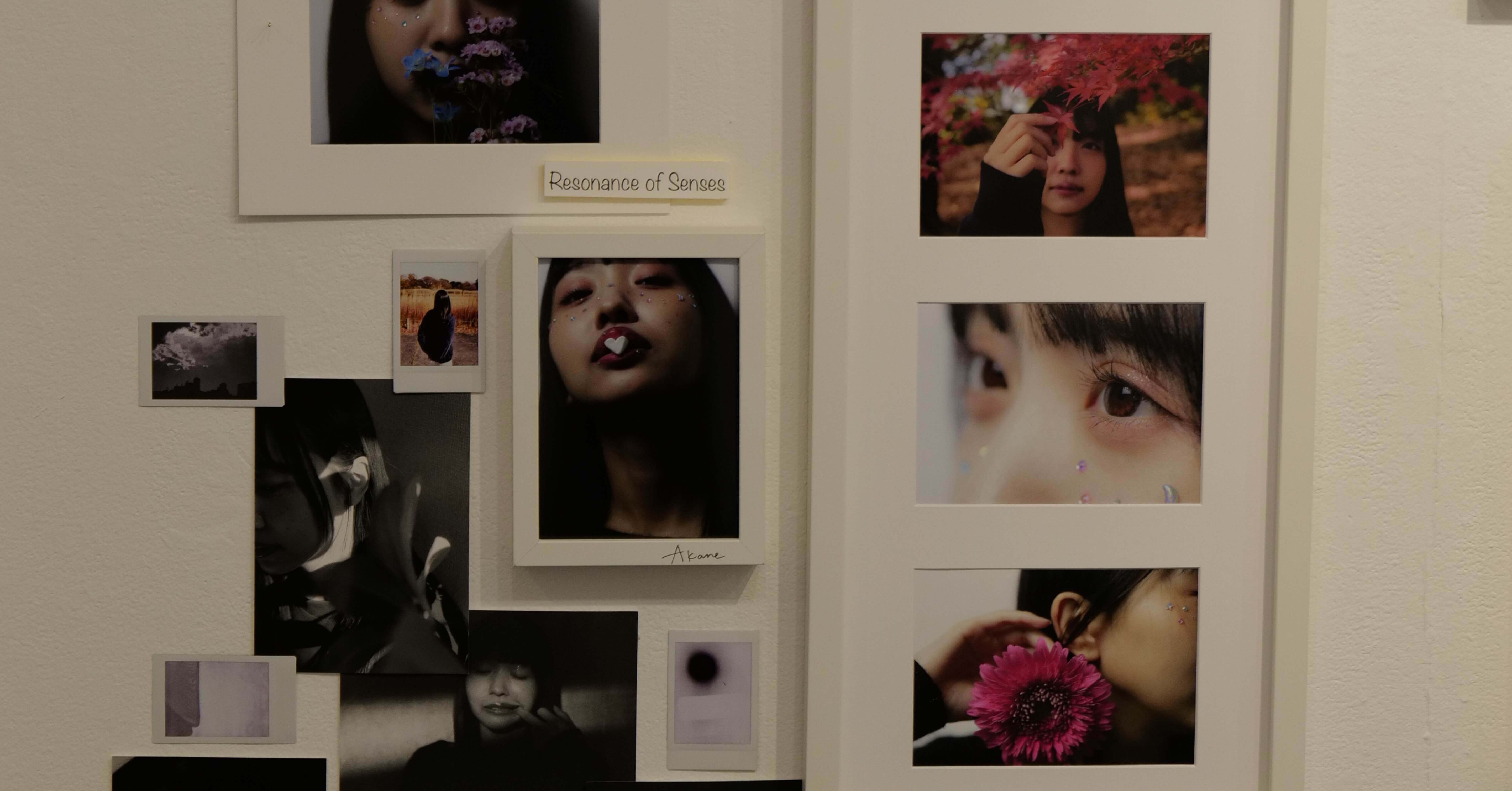 誰かに写真を見てもらうこと｜wataru-k｜note