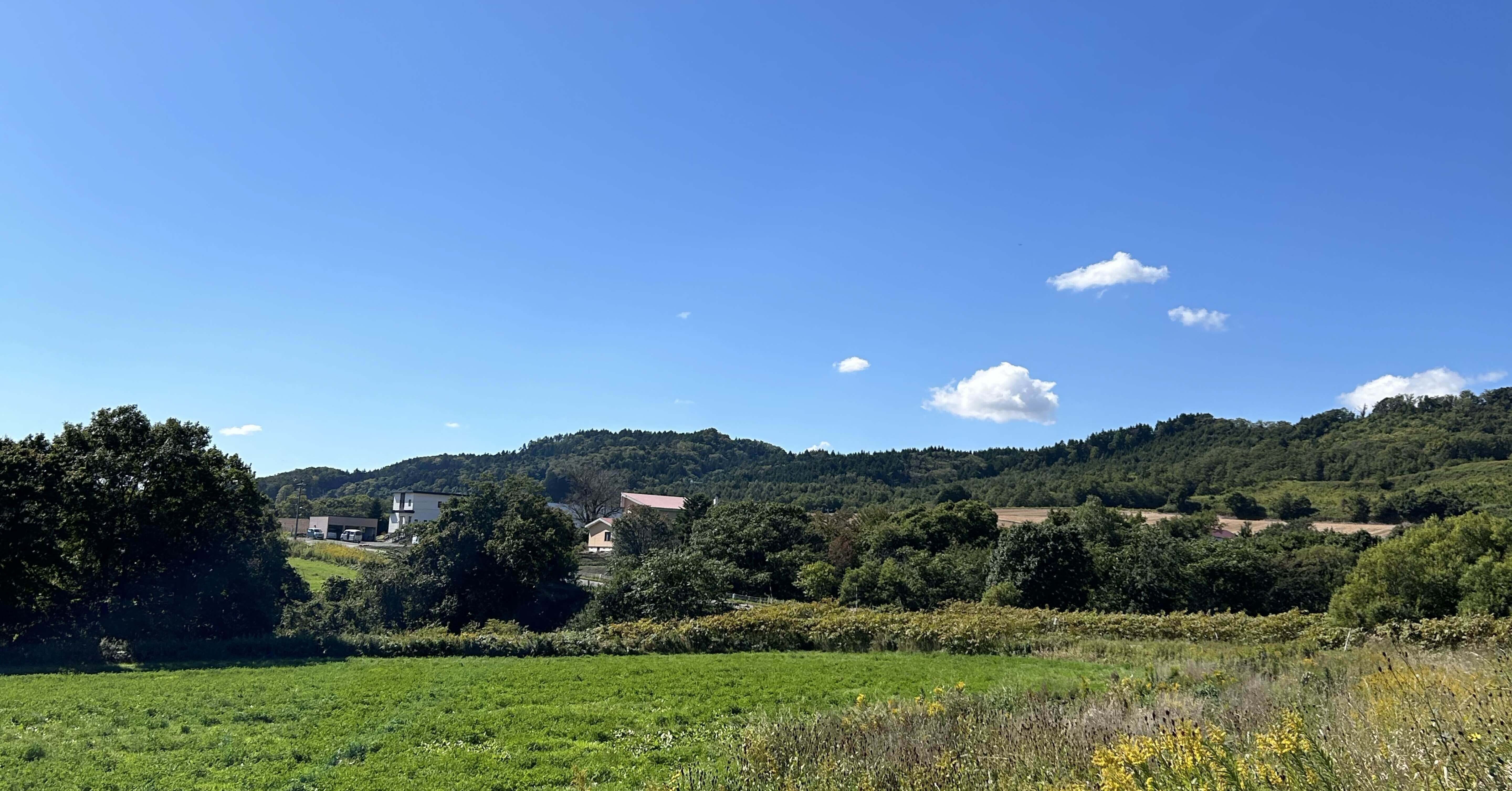 mee/がけっぷち主婦の奮闘記｜note