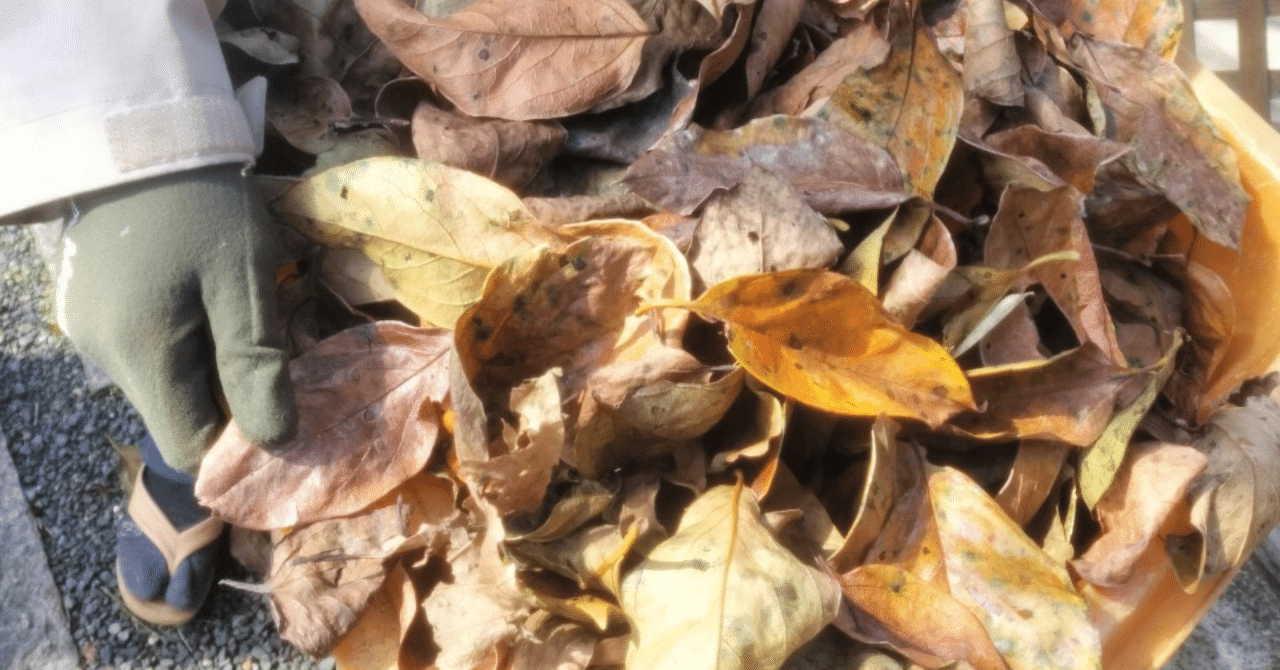 以つ｜ｼﾜ ﾐﾉﾘ