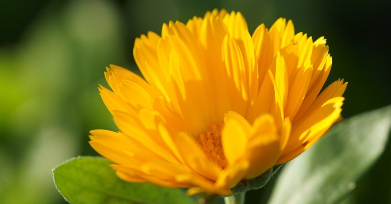 不登校といじめと学校と，私自身。｜Yukihiro S