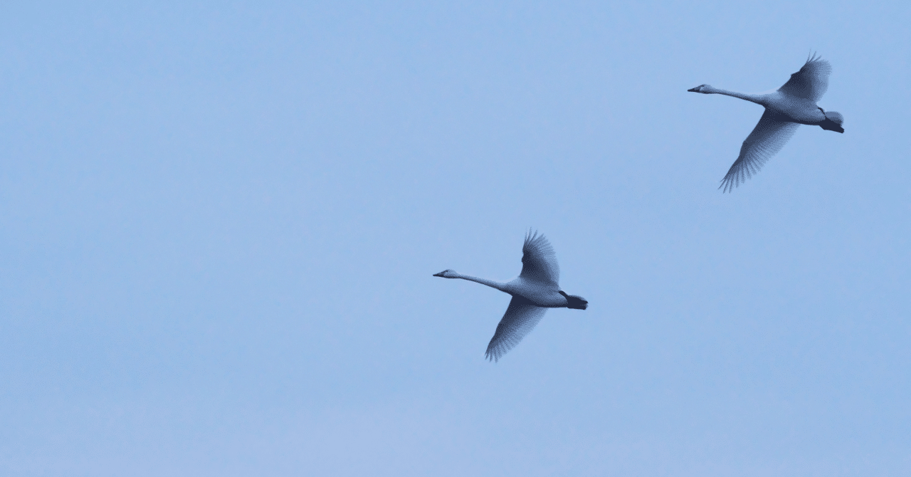 きみとここで｜NAGISA.