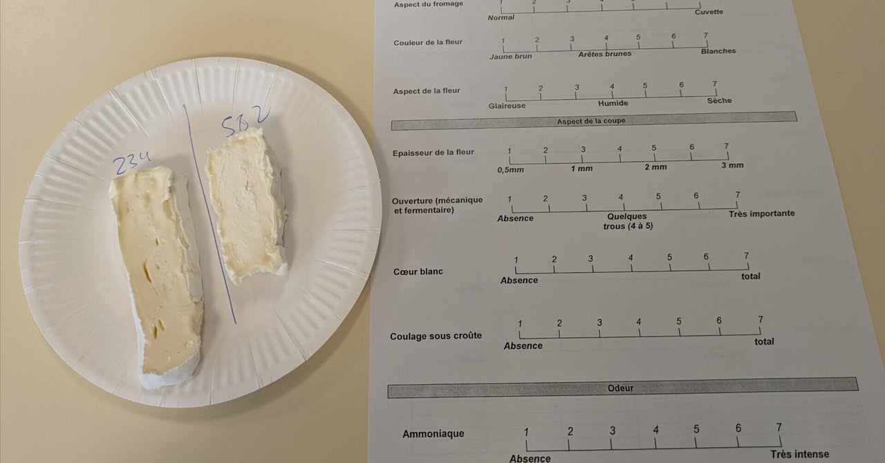 Analyse sensorielle：感覚分析について｜hide