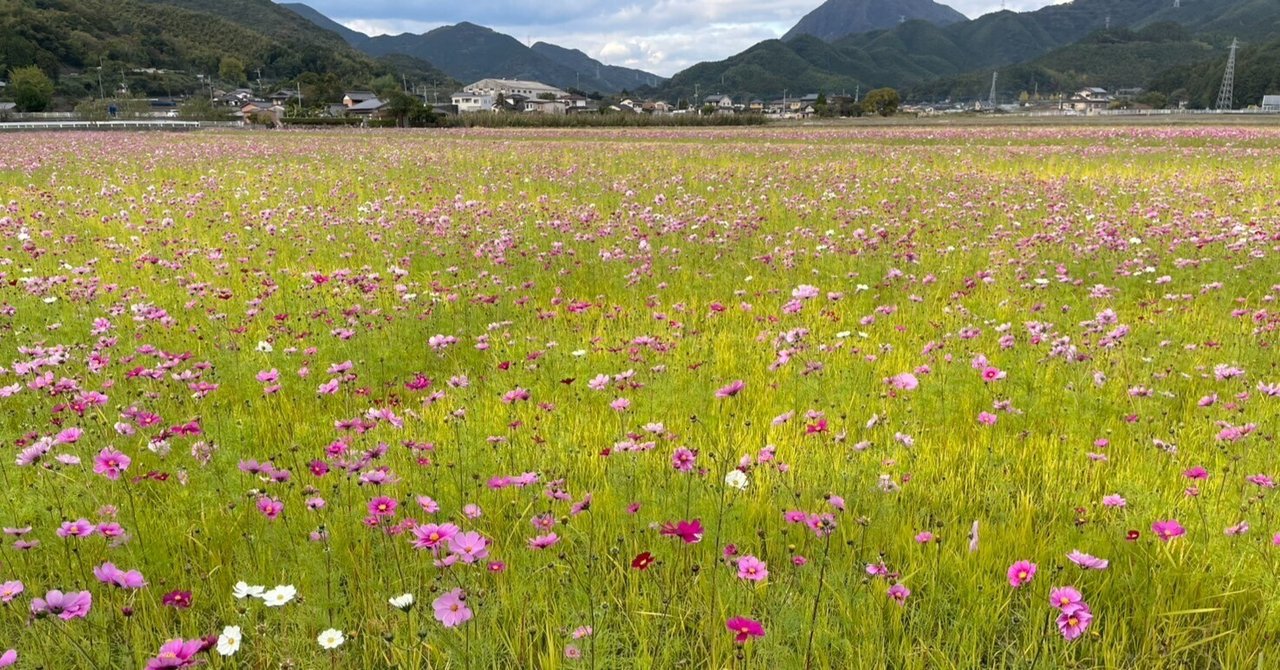 体調はガチャ/実体験/自律神経失調症｜Pon Suke