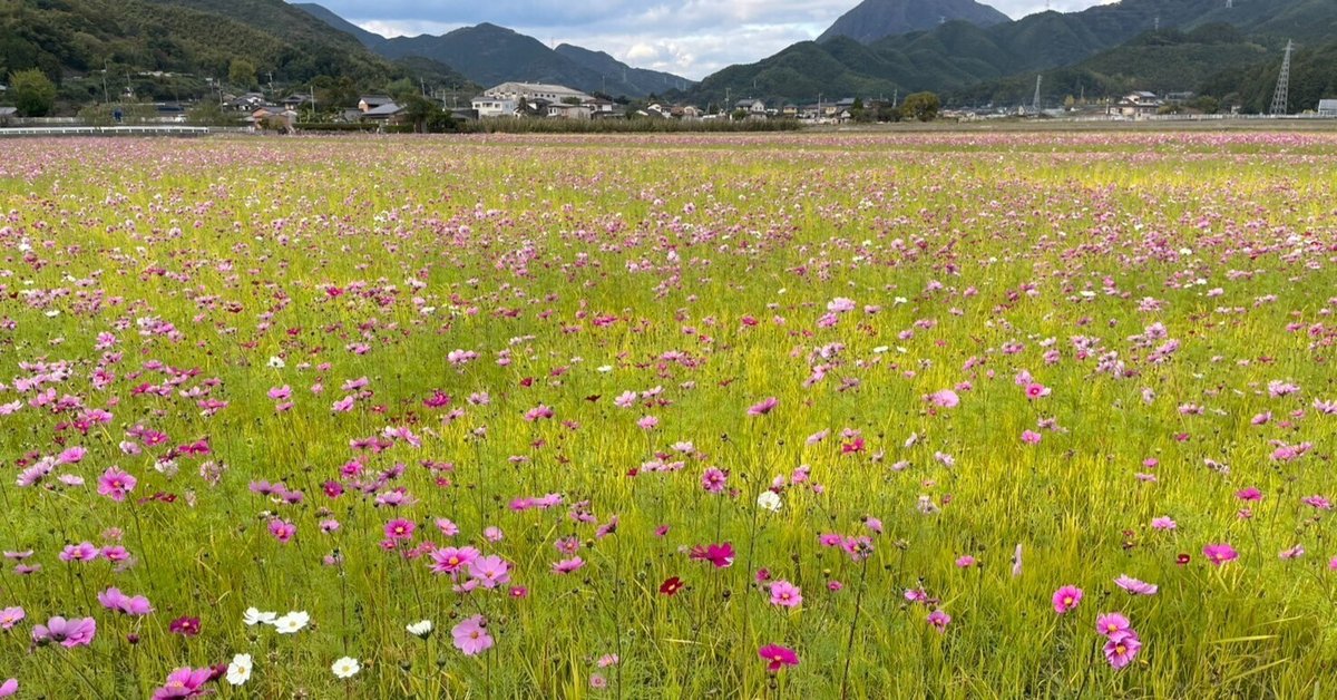 体調はガチャ/実体験/自律神経失調症｜Pon Suke