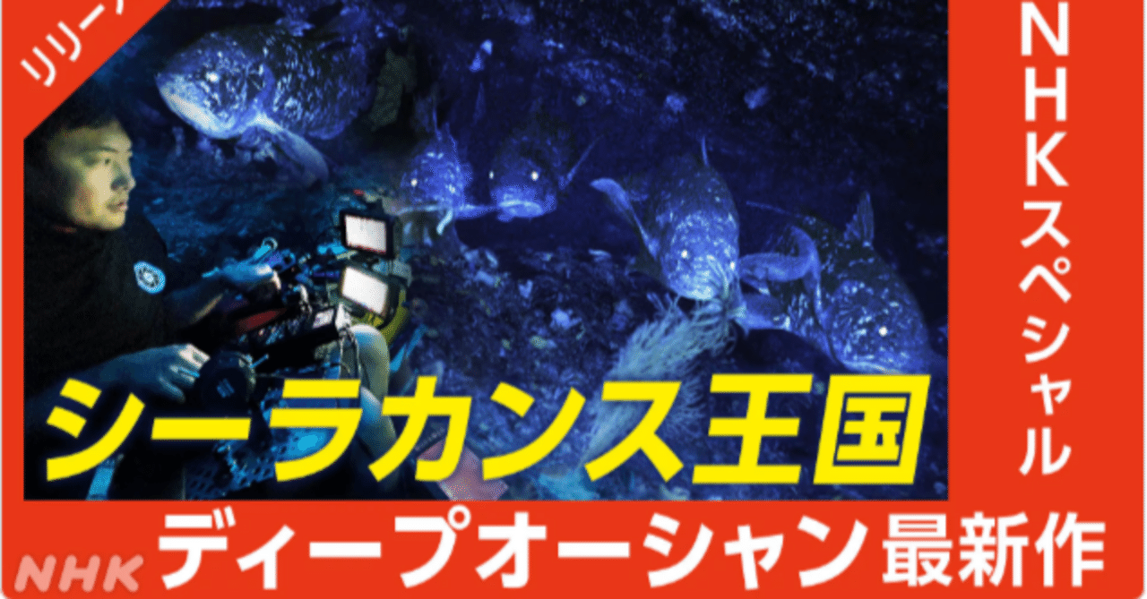 アクアリウムをぶっ壊す～NHK～｜トリミィ