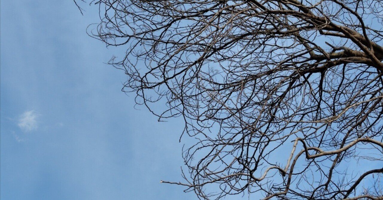 感謝の会｜yumi.ko