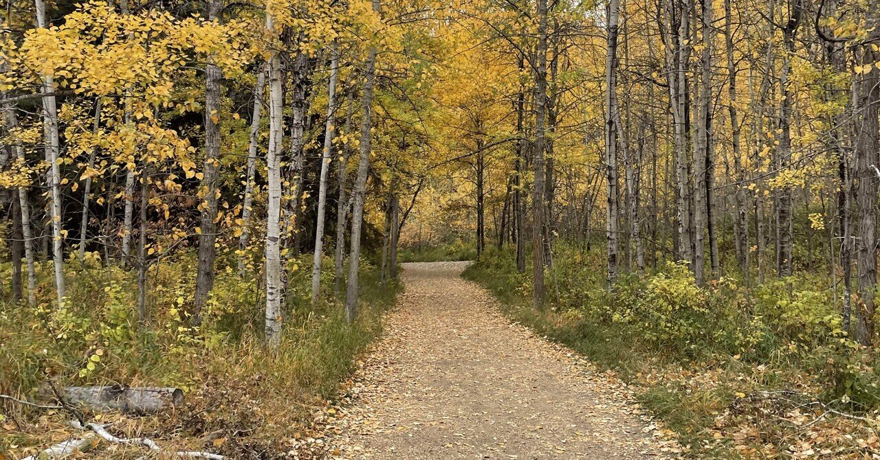 30歳人生感想文｜Yuto Yasuda（安田 悠杜）