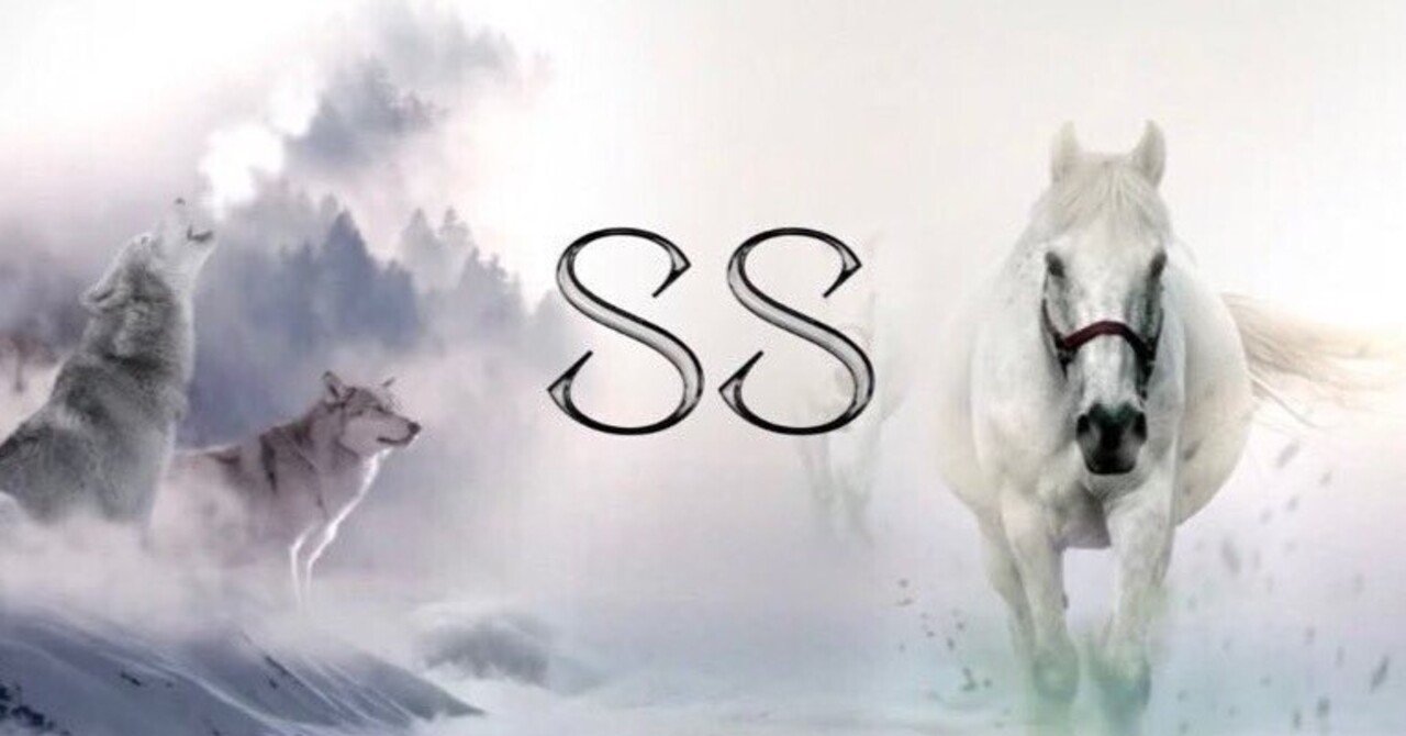 2025.2/22 京都5R 【SS＋】＜展開評価有り＞｜競馬予想家 シン・ダンケシェーン